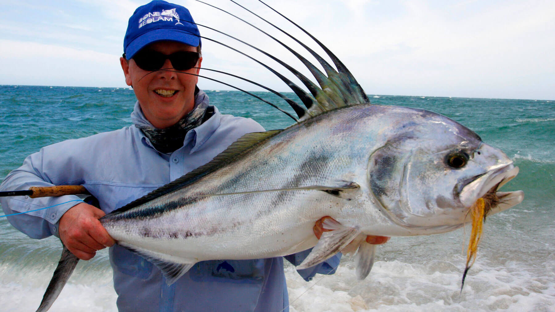 Roosterfish - The Reel Baja