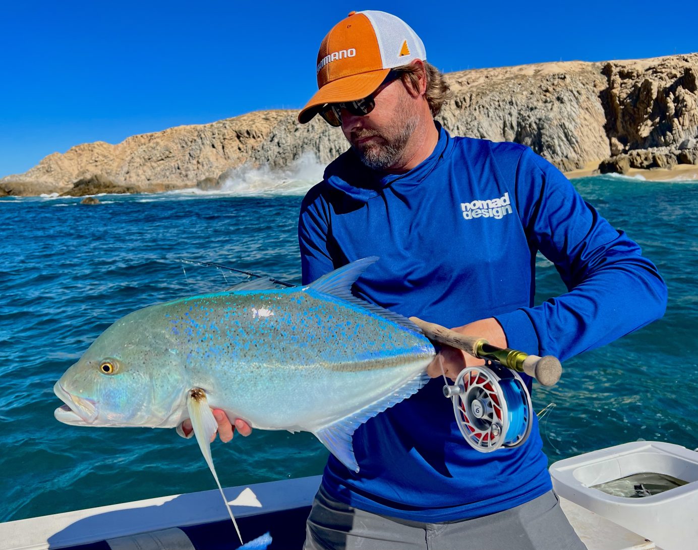 December begins with wide open fly fishing for marlin - The Reel Baja