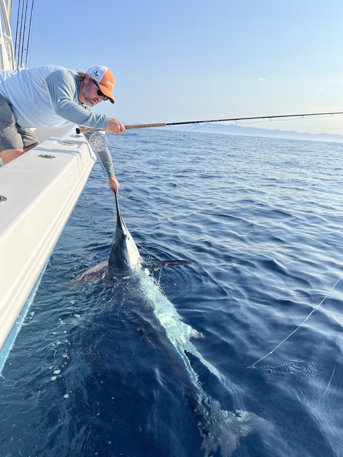 December begins with wide open fly fishing for marlin - The Reel Baja