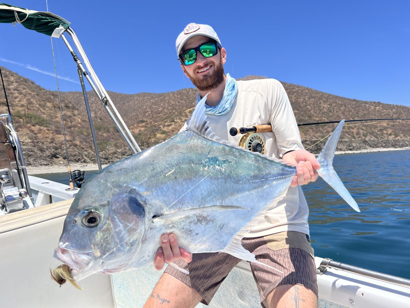 It’s May and the roosters have arrived - The Reel Baja