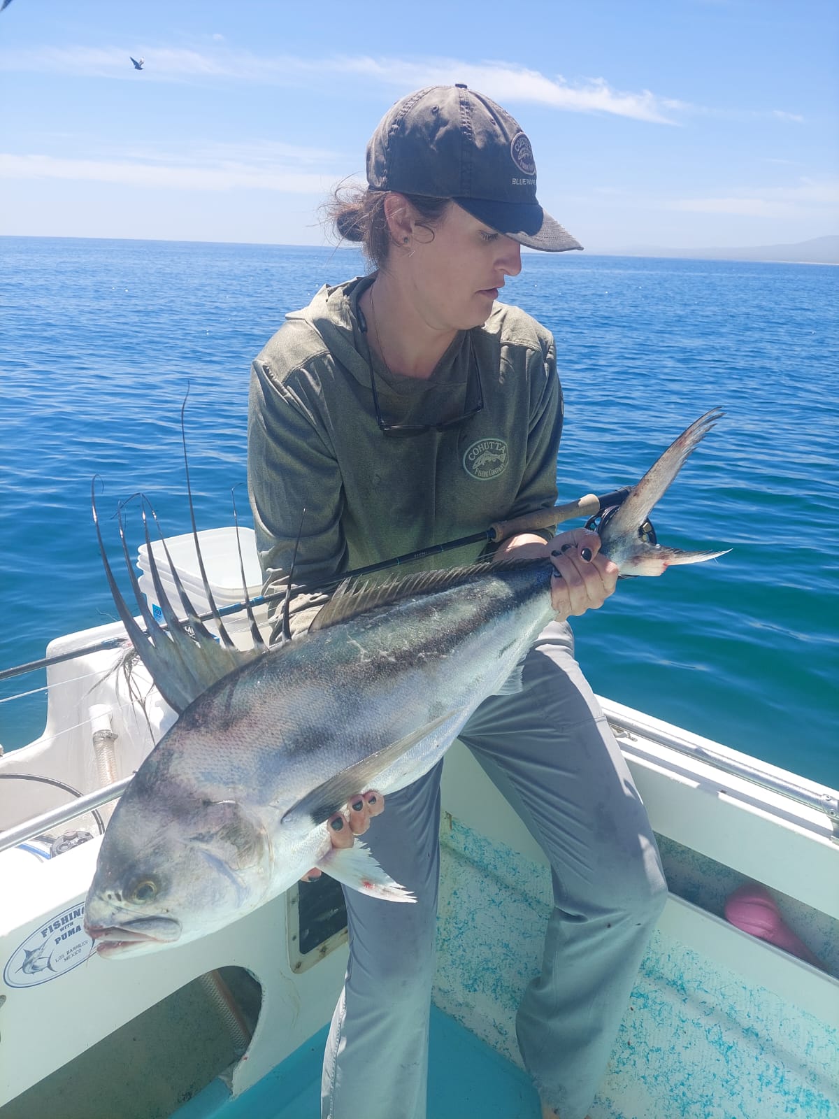 It’s May and the roosters have arrived - The Reel Baja