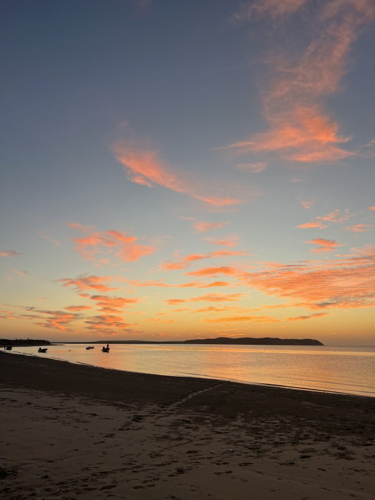 East Cape Fly Fishing Report – Roosters Up and Down the Coast - The ...